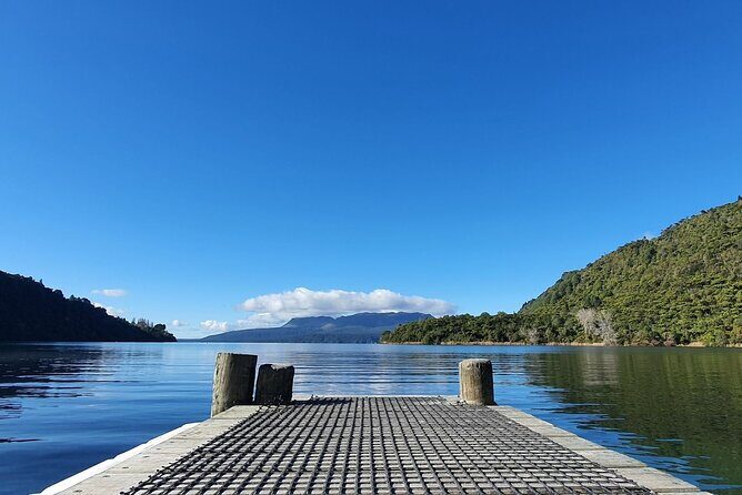 Ports of Tauranga/Rotorua/Tga - 6 Hours Rotorua Highlights Tour - Who Should Book This Tour?