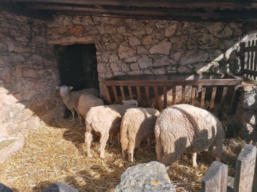 Portugal: Fatima, Aljustrel & Valinhos Trip with Picnic - Key Points