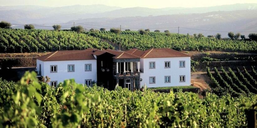 Portugal: Premium bike tour Atlantic Coast to Douro Valley - A Well-Designed Itinerary for Authentic Experiences