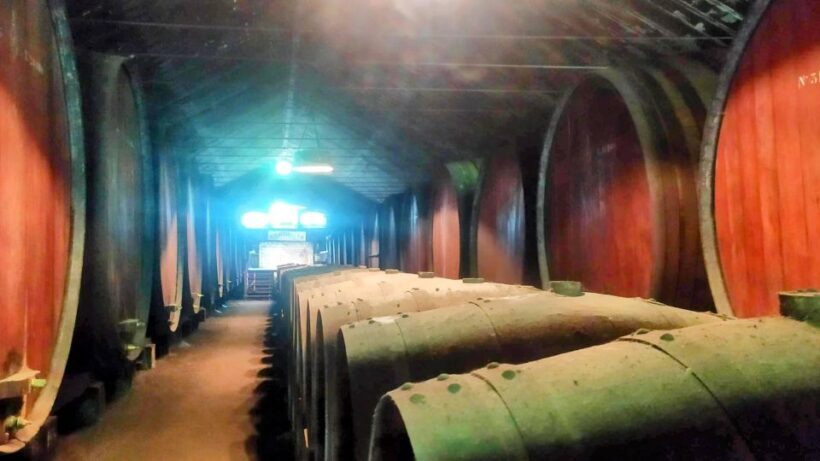 Portuguese Wine History & Amazing Landscape - Who Is This Tour Best For?