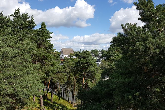 Porvoo Tour From Helsinki or Vantaa - Accessibility Information