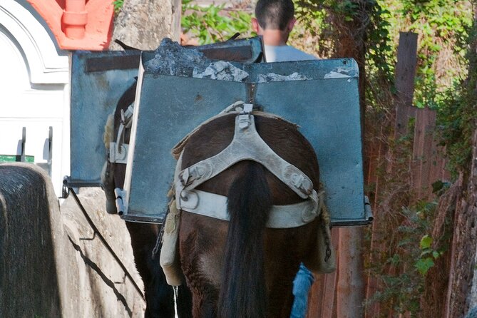 Positano Walking Tour with a Local Guide - The Sum Up