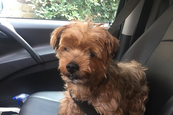 Post Cruise Roma Private tour from Civitavecchia - Authentic Experiences and Authentic Guides