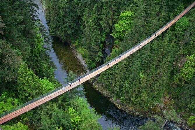 Post-cruise: Vancouver Tour with Lookout & Capilano Bridge - Exploring Vancouver’s Highlights in a Single Day