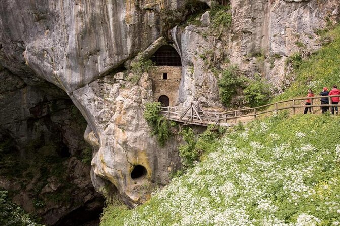 Postojna Cave and Castle Minivan Tour From Koper, Trieste, Piran - Meeting and Pickup Information