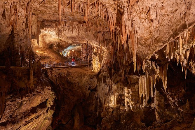 Postojna Cave & Predjama Castle - Shore Excursion From Rijeka - Admission Fees and Inclusions