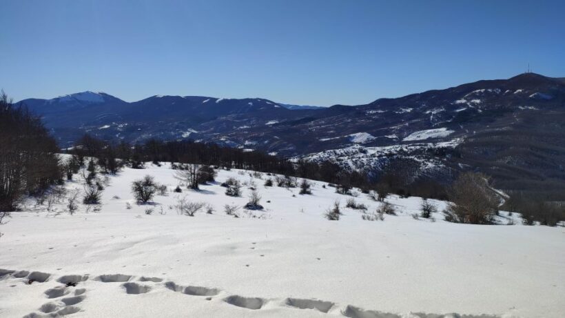 Potenza: Guided Mountain Walking Tour with Snowshoes - Who Will Love This Tour?