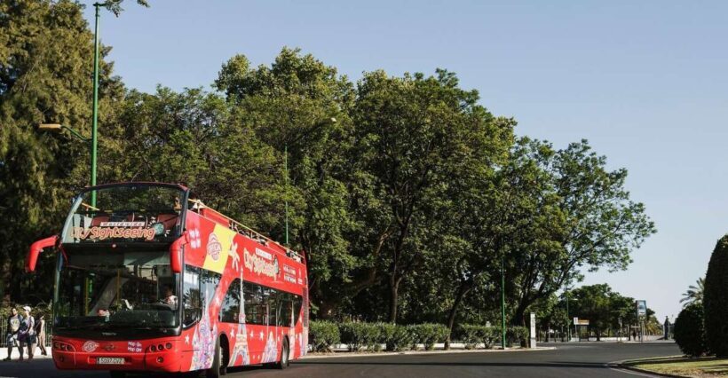 Potsdam: City Sightseeing Hop-On Hop-Off Bus Tour - Who This Tour Is Best For