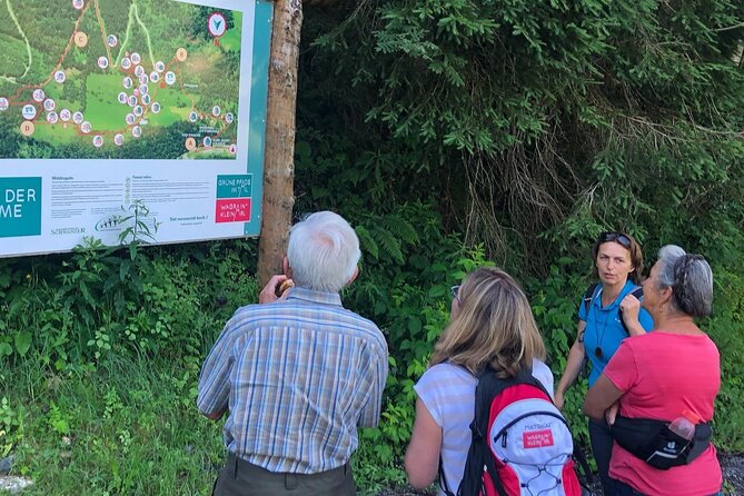 Power of Trees Private Tasting Tour - What Makes It Special