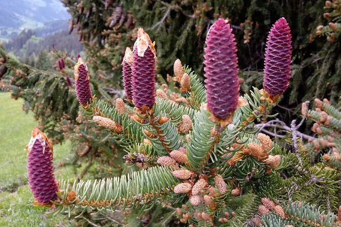 Power of Trees Private Tasting Tour - Final Thoughts