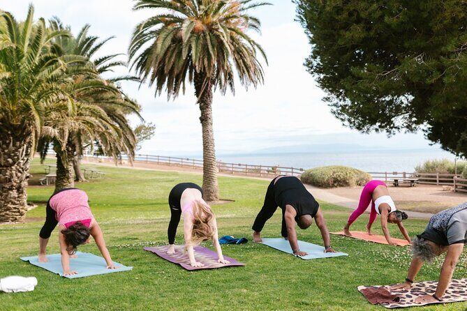Power Up Your Girls Trip with Savannah Mobile Yoga Class - The Value for the Price