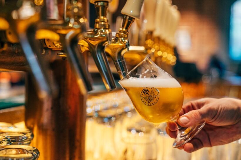 Poznan: City and Brewery Private Walking Tour with Beer - Final Thoughts