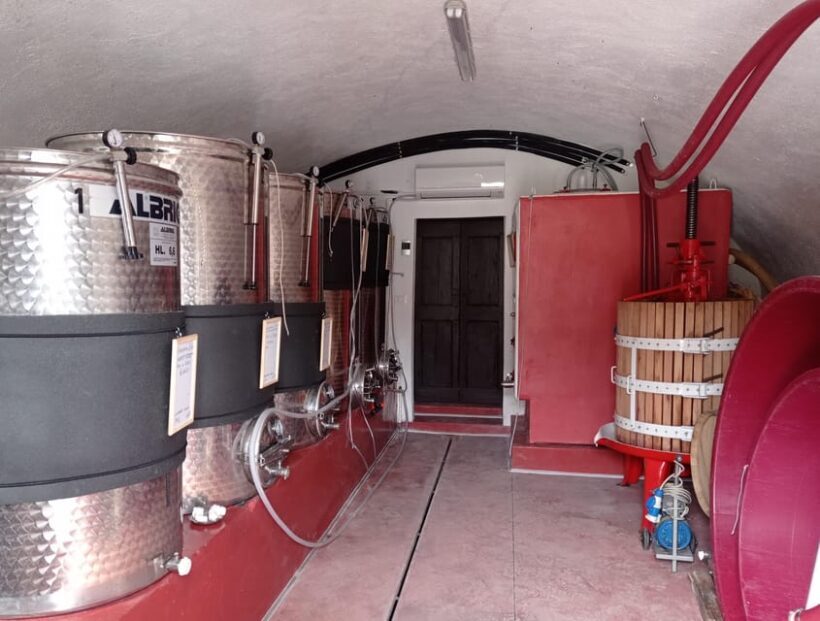 Pozzolengo: Vineyard tour and tasting of typical Garda wines - Introducing the Vineyard Tour and Tasting at Pozzolengo