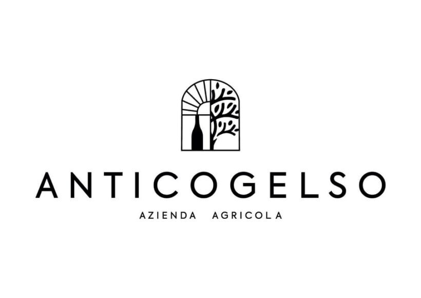 Pozzolengo: Vineyard tour and tasting of typical Garda wines - Key Points