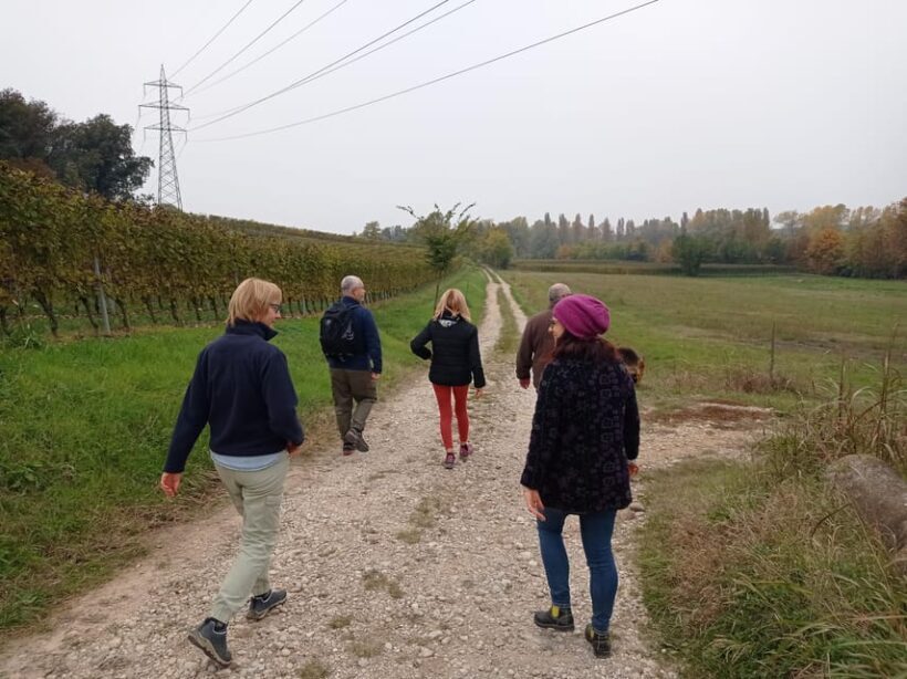 Pozzolengo: Vineyard tour and tasting of typical Garda wines - Who Should Book This Tour?