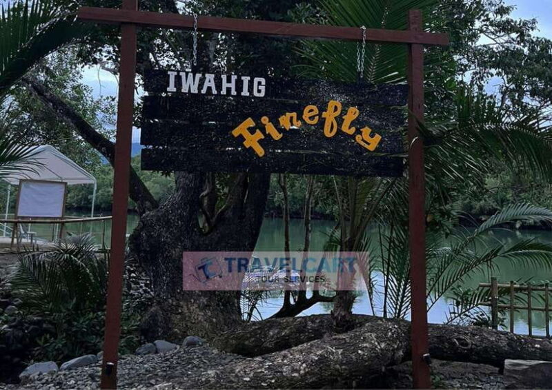 PPC IWAHIG Firefly Watching - The Itinerary in Detail