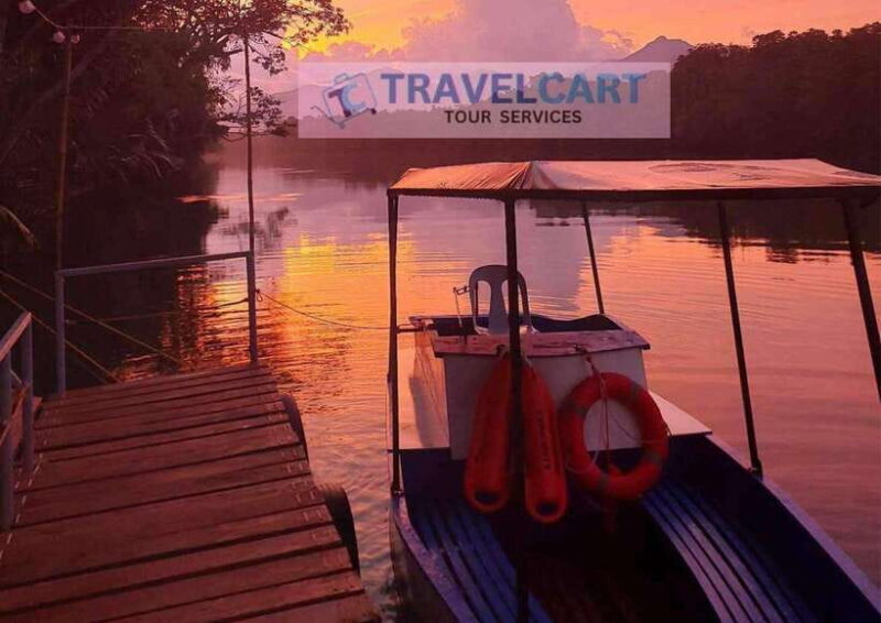 PPC IWAHIG Firefly Watching - Who Will Love This Experience?