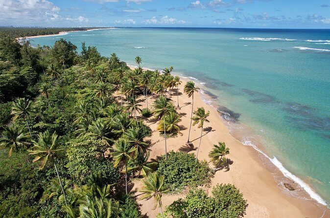 PR Chinchorreo-Beach and Bar Hopping Tour - Frequently Asked Questions