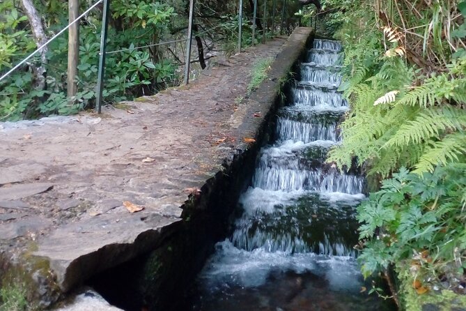 PR6 25 Fountains/Risco Levada Walk With Local Guide - What to Expect From the Local Guide