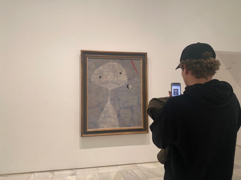 Prado Museum guided tour optional Reina Sofía Museum - Adding Reina Sofía: A Modern Art Journey
