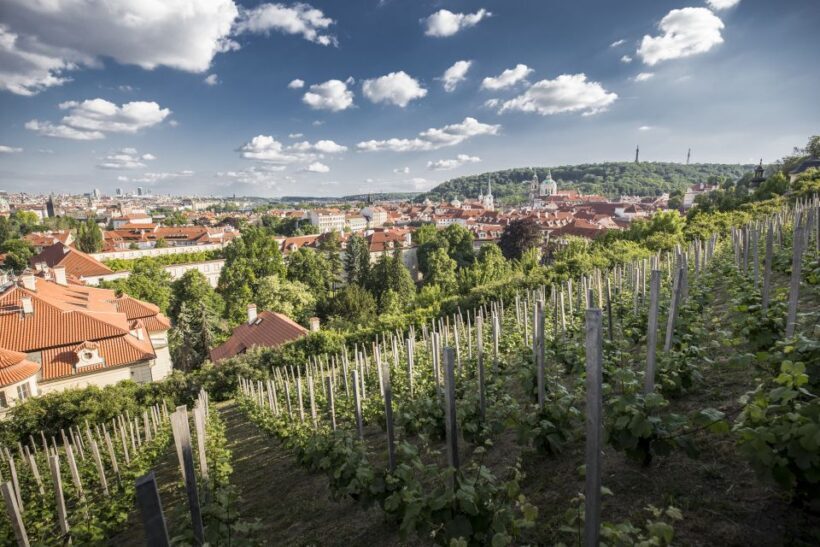 Prague: 3Hour Castle Grounds Walking Tour and River Cruise - An In-Depth Look at the Prague Experience