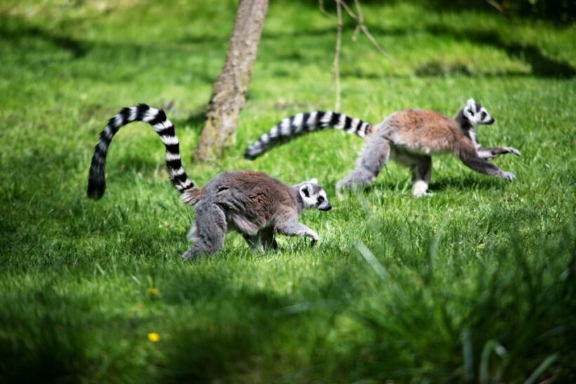 Prague: Boat Ride to the Zoo and Admission Ticket - An In-Depth Look at the Experience