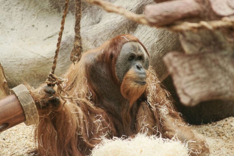 Prague: Boat Ride to the Zoo and Admission Ticket - Final Thoughts
