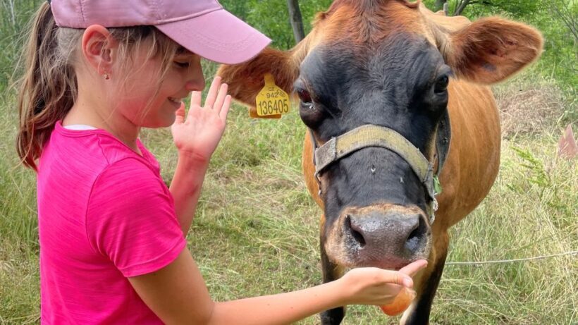 Prague: Bohemian Uplands Garnet Panning&Animal Farm 4WD Tour - Culinary Delights and Local Beers