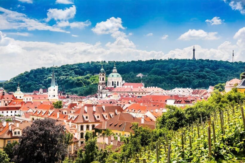 Prague Castle District Walking Tour - What You Can Expect During the Tour