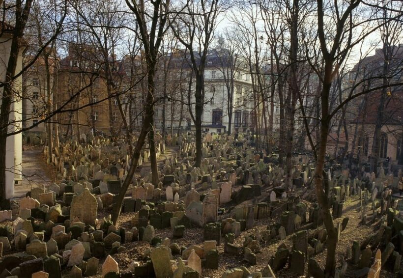 Prague City Pass 30-Day Ticket - The Sum Up