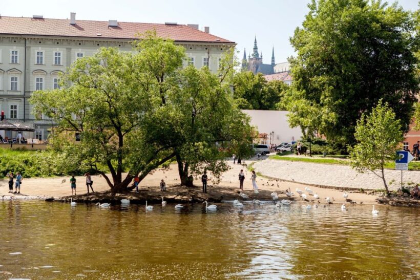 Prague Cruise: 1-Hour on the River Vltava - The Sum Up