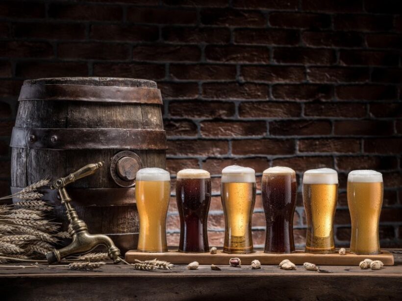 Prague: Discover BohemiaTisa Rocks, Bastei & Brewery Tour - The Brewery Experience: Crafting Beer and Culinary Delights