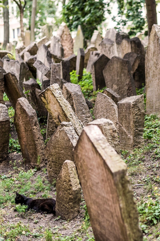 Prague: Jewish Quarter Walking Tour with Admission Tickets - The Experience: What Travelers Can Expect