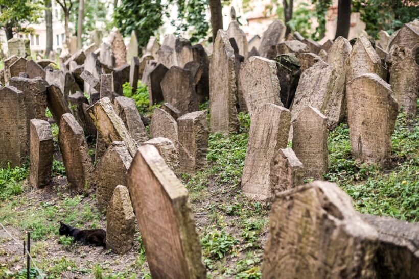 Prague: Jewish Quarter Walking Tour with Admission Tickets - Pricing and Value
