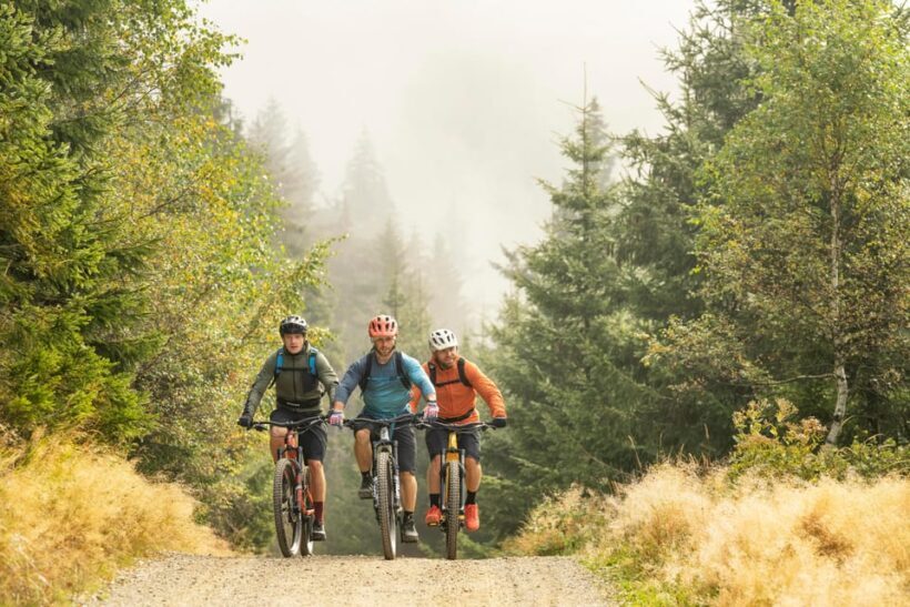 Prague Mountain Biking: Blast Through The Best Singletracks - The Sum Up