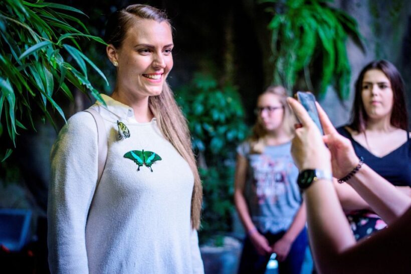 Prague: Papilonia Butterfly House - What Visitors Say: Authentic Feedback