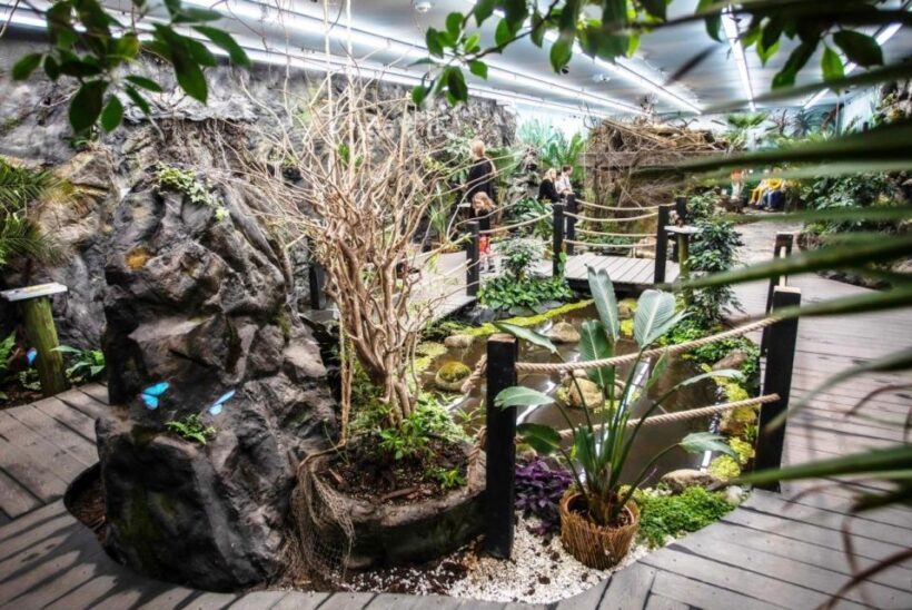 Prague: Papilonia Butterfly House - Why It’s Worth Visiting