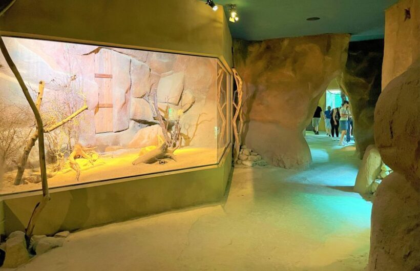 Prague: Prague Zoo Audio Guide with E-Ticket - An Introduction to Prague Zoo and Its Unique Appeal