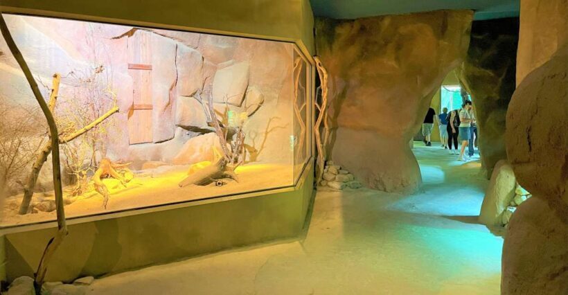 Prague: Prague Zoo Audio Guide with E-Ticket - What Visitors Love – Actual Feedback