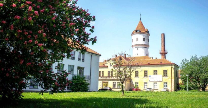 Prague: Psychiatric Hospital and Abandoned Cemetery Tour - What Makes This Tour Special?