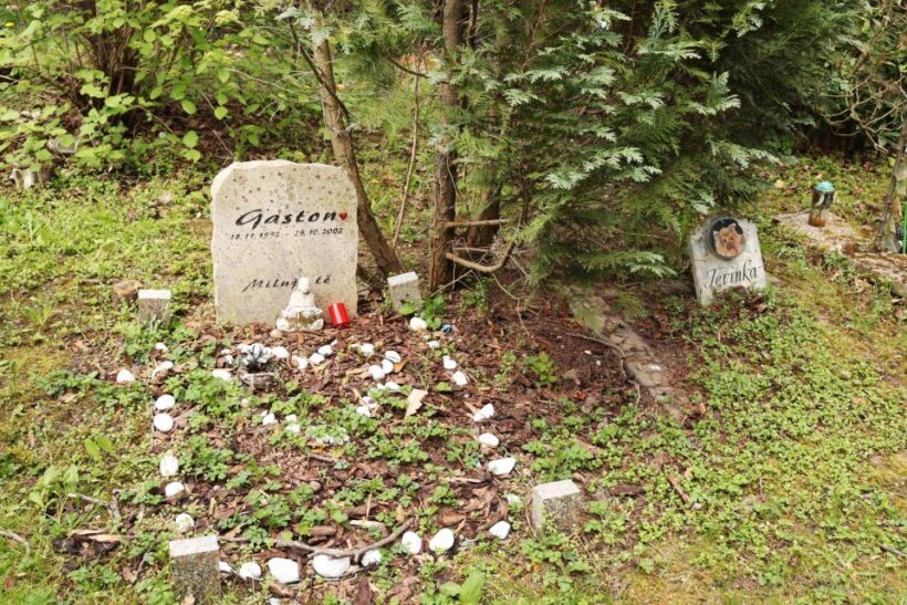Prague: Psychiatric Hospital and Abandoned Cemetery Tour - The Value of the Experience