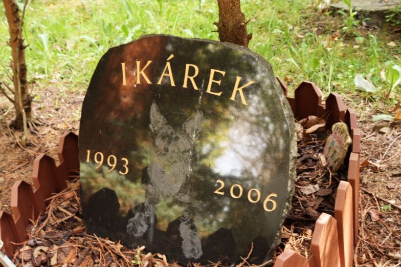Prague: Psychiatric Hospital and Abandoned Cemetery Tour - Final Thoughts: Who Is This Tour For?