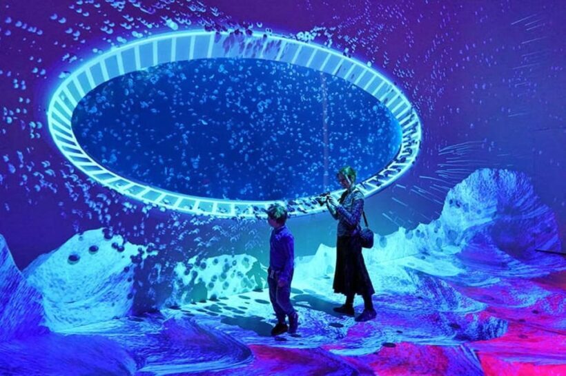 Prague: The World Of Jellyfish Entry Ticket w/ Drink - Authentic Visitor Perspectives