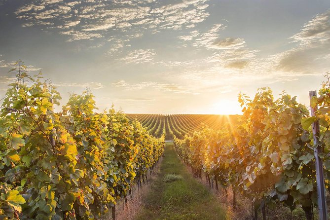 Prague-Vienna One-Way Sightseeing Day Tour Review - Highlights and Inclusions