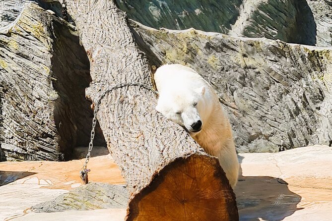 Prague Zoo Admission Ticket with Transfer and Audio Guide - Why This Tour Offers Good Value