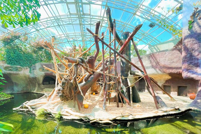 Prague Zoo Admission Ticket with Transfer and Audio Guide - Final Thoughts: Is It Worth It?