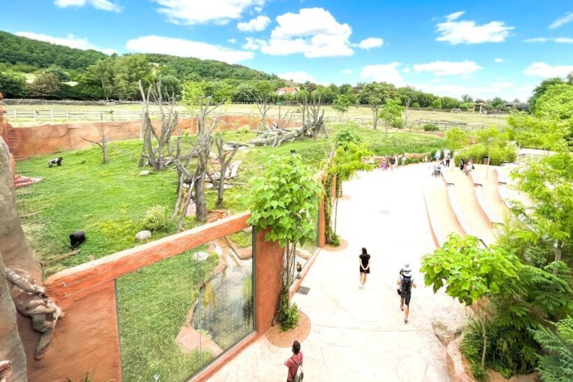 Prague Zoo Online Audio Guide (No ticket) - The Experience: What to Expect from the Prague Zoo Online Audio Guide