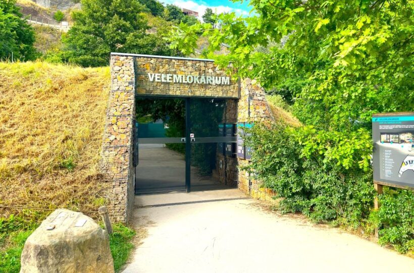 Prague Zoo Online Audio Guide (No ticket) - FAQ