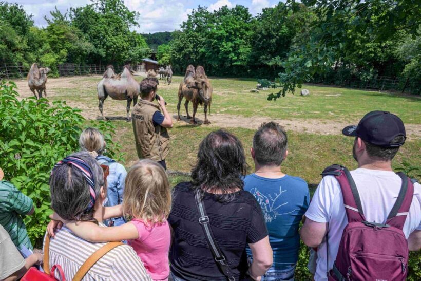 Prague Zoo: Skip-the-Line Entry Ticket - Final Thoughts