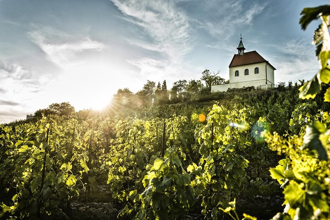 Prague´s Hidden Vineyards Private Tour - Summary: Who Will Love This Tour?
